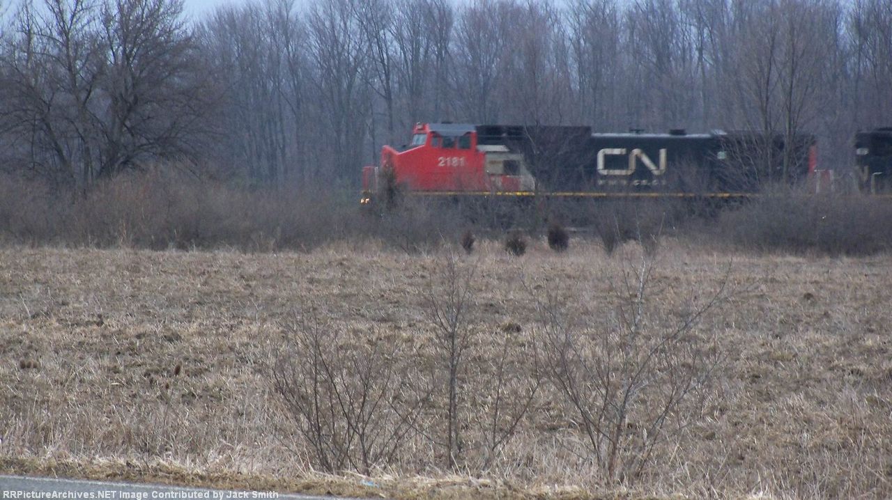 CN 2181